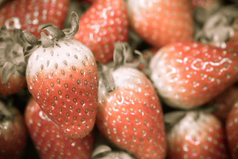 Close Up Group of Fresh Red Strawberry,made with Filter Stock Photo ...