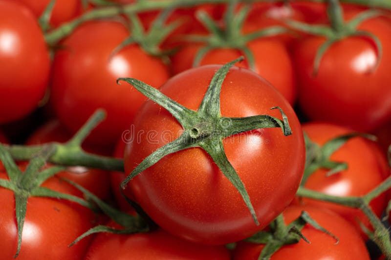 Close-up of a Group of Fresh Whole Cocktail Tomatoes. Stock Photo ...