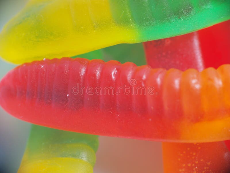 Close-up of Gummi Worms stock photo. Image of worms, orange - 1083386