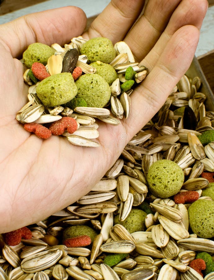 Hamster Food Mix stock image. Image of grain, mouse, pets - 14866561