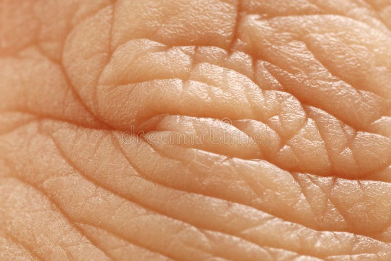 Close up hand stock photo. Image of sensuality, person - 8211532