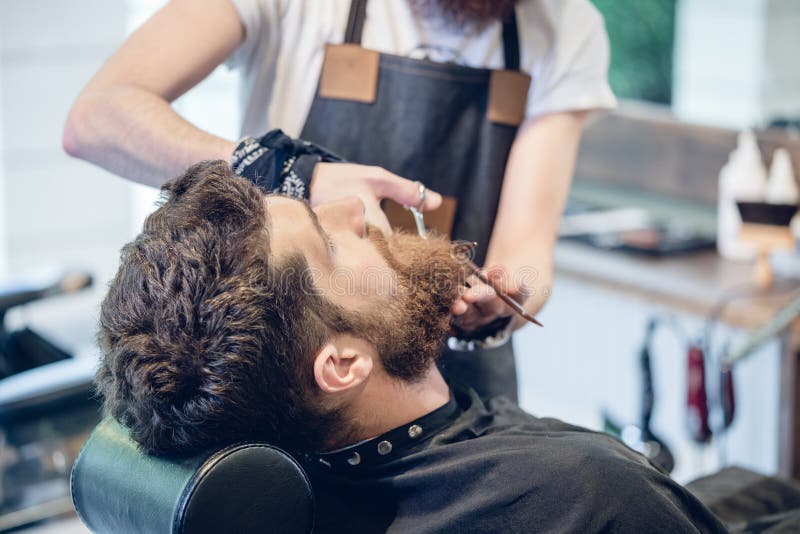 Close-up of the Hand of a Barber Using Scissors while Trimming Stock ...