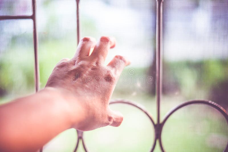 Close Up Hand Beg for Freedom at Window Baluster Stock Photo - Image of ...