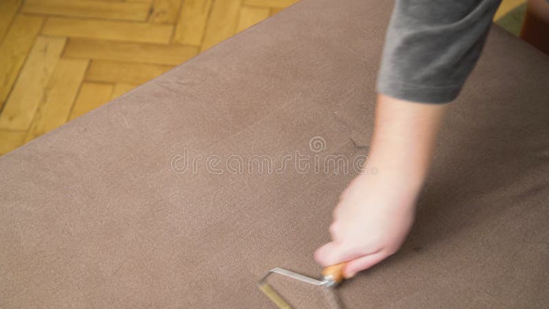 Close Up of Hand Cleaning Sofa Surface with a Carpet Scraper Tool. Rug ...