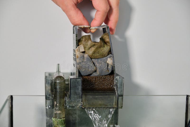 Close Up of a Hand Disassembling a Fish Tank Waterfall Filter To Clean ...