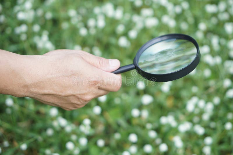 Close Up Hand Hold Magnifying Glass To Inspect Tiny Things in Nature ...