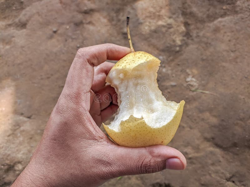 Close-up of Hand Holding Pear with Bite Marks Stock Image - Image of ...