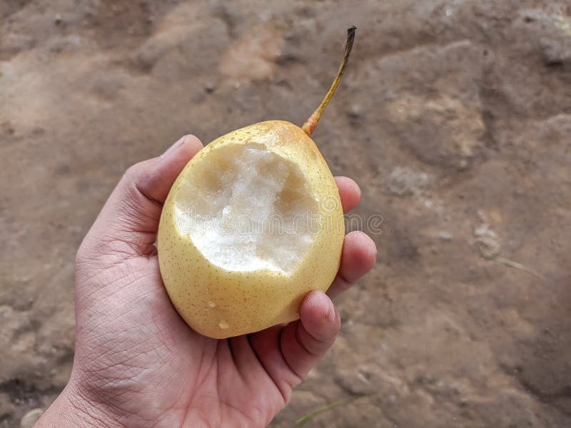 Close-up of Hand Holding Pear with Bite Marks Stock Image - Image of ...