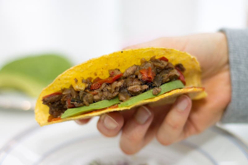 Close-up of Hand Holding a Taco Stock Photo - Image of organic, hold ...