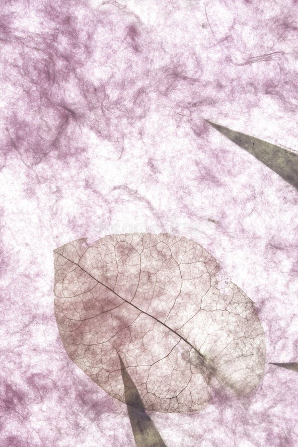 Textured paper purple leaf stock photo. Image of cardmaking - 25411466