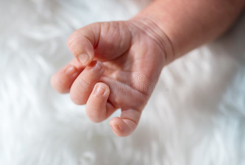 Hand of newborn baby stock photo. Image of newborn, people - 141726824