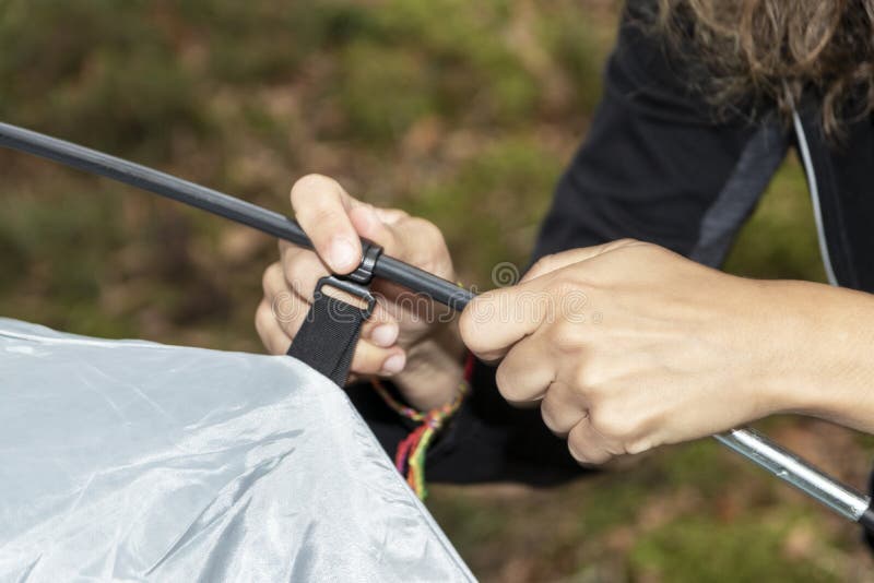 Hand while Setting Up a Tent in the Forest Stock Photo - Image of ...