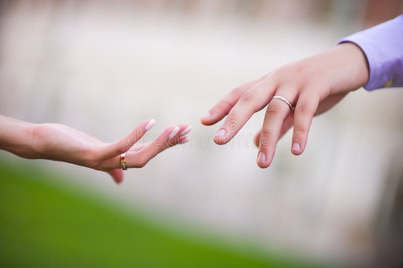 Close-up of the Hands of the Bride and Groom, Who Touch Each Other with ...