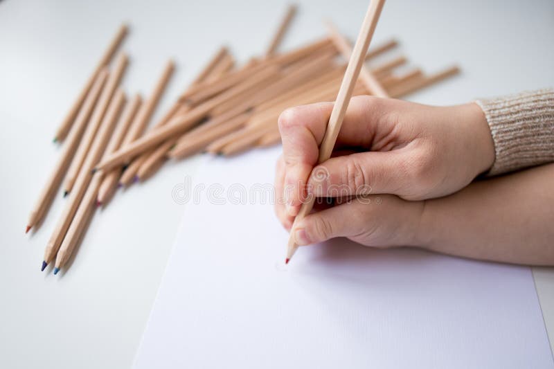 Close Up of Hands Drawing with Colored Pencils on White Paper Stock ...