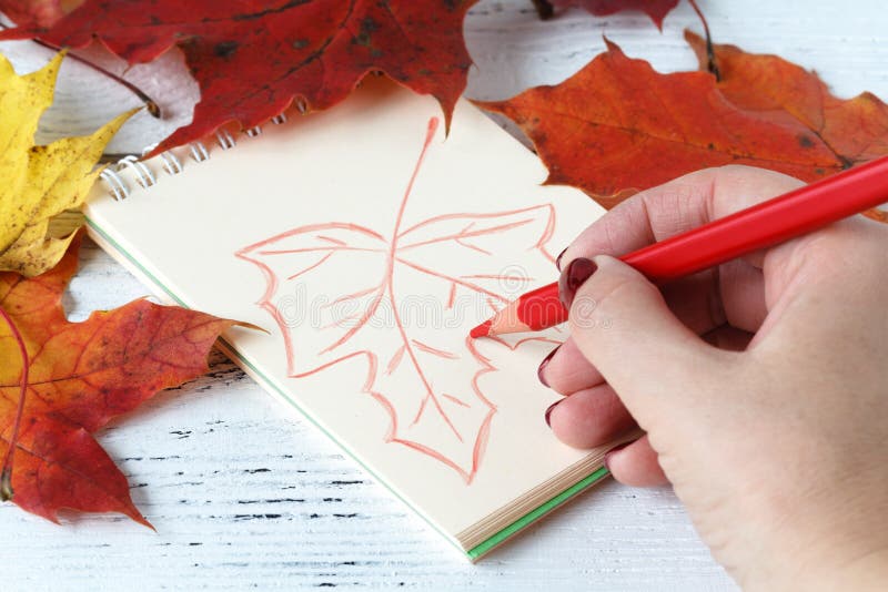 Close Up of the Hands Drawing a Fall Leaf Covered with Autumn Le Stock ...