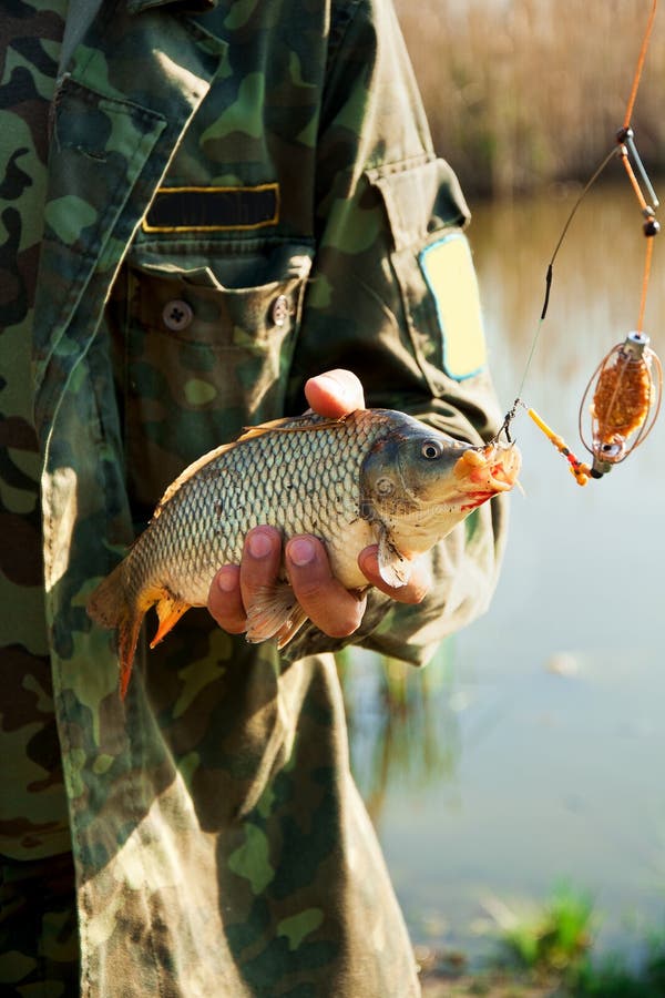 Close-up Hands of Fisher with the Fish Stock Photo - Image of activity ...