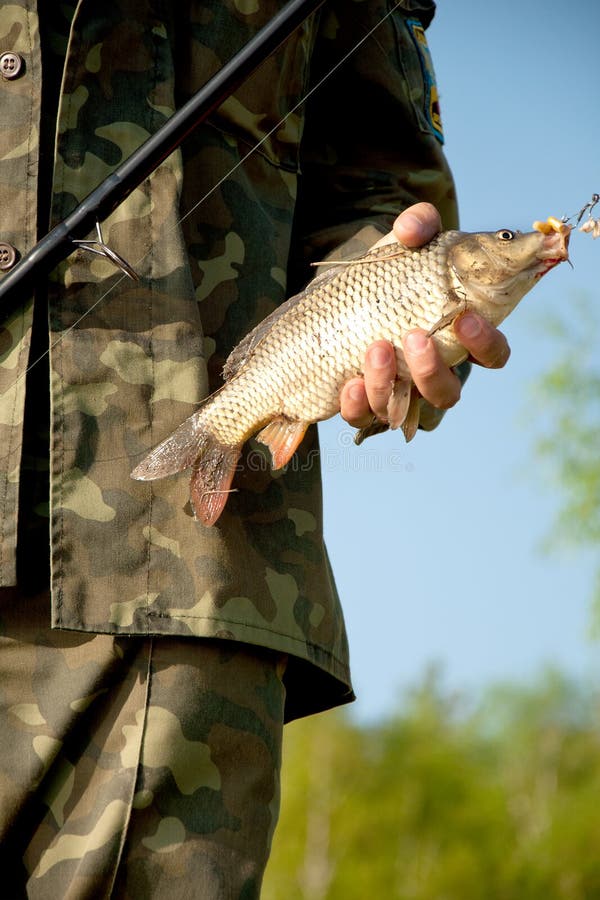 Close-up Hands of Fisher with the Fish Stock Image - Image of corn ...