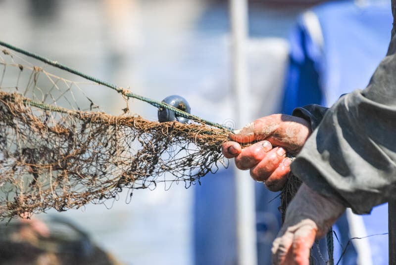 Close-Up Hands of Fisherman Pulling the Fish Net Stock Image - Image of ...