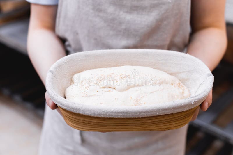 Close-up of Hands Holding a Tray, with a Ball of Dough, Preparing Bread ...