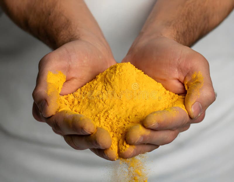 Close-up of Hands Holding Yellow Powder Stock Illustration ...