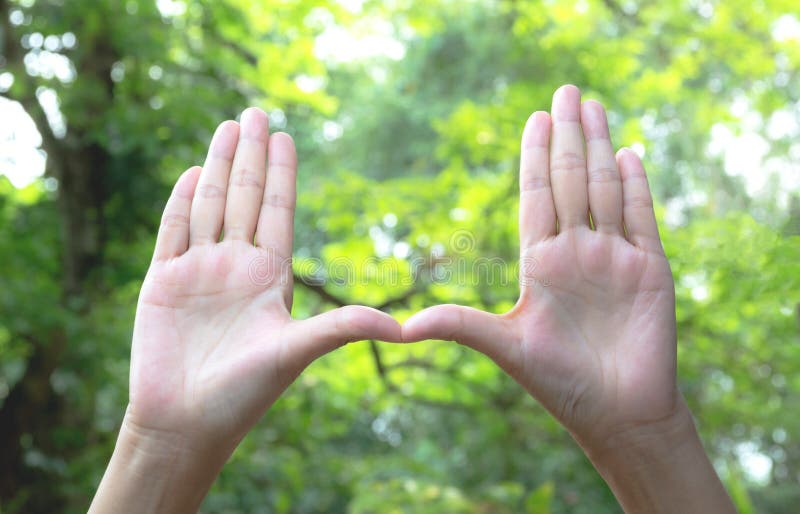 Close Up of Hands Making Frame Gesture. Close Up of Woman Hands Stock ...
