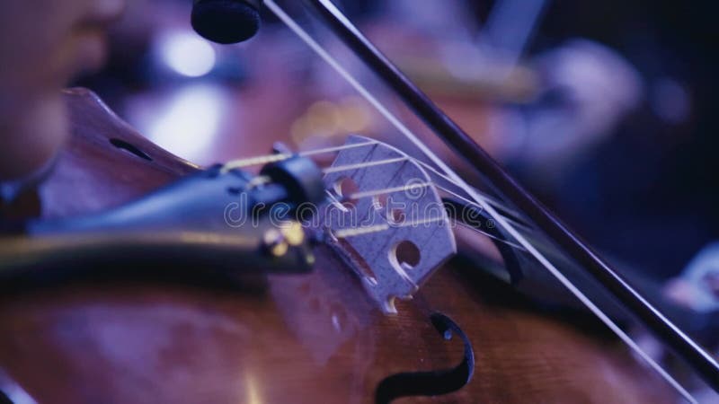 Close Up Hands Plays with Bow on Strings of the Cello Stock Footage ...