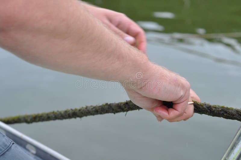 Close-up of Hands Pulling a Mossy Rope from Water while Sitting in a ...
