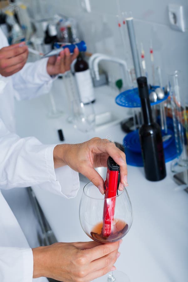 Close Up on Hands Testing Wine Quality Stock Image - Image of measuring ...