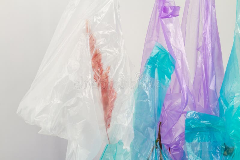 Close Up Hanging Plastic Bags with Herbs. Stock Image - Image of ...