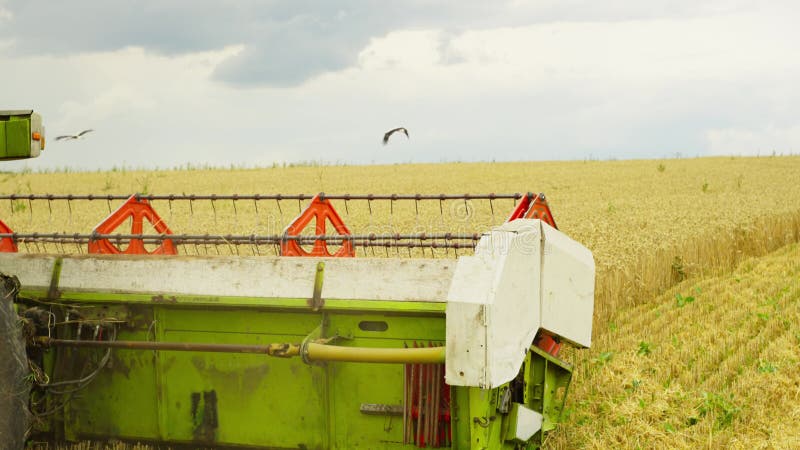 Close-up of the Harvester Header during Harvesting. Stock Footage ...