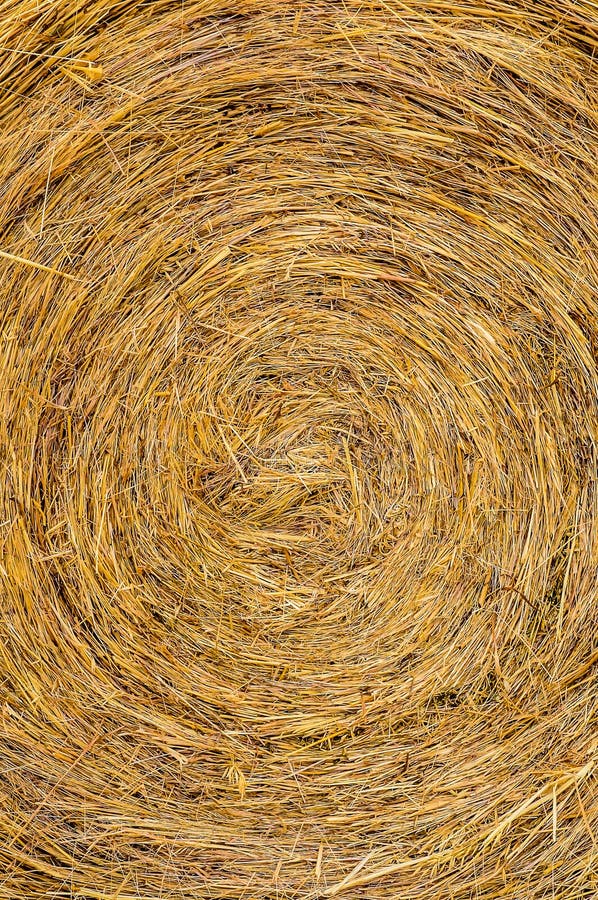 A Close Up of a Hay Bale with a Spiral Pattern Stock Image - Image of ...