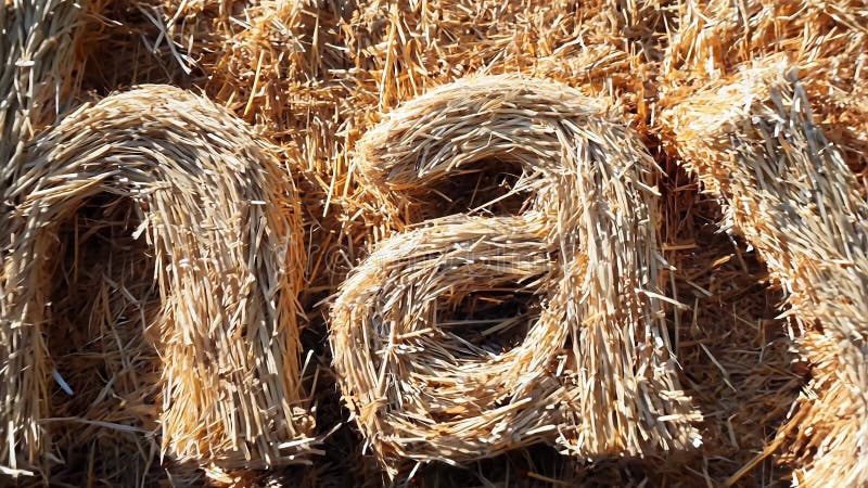 "Close-Up of Hay Sculpted Letters in Warm Sunlight Stock Video - Video ...
