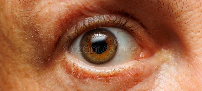 Close Up of a Hazel Human Eye Stock Image - Image of face, open: 253596267