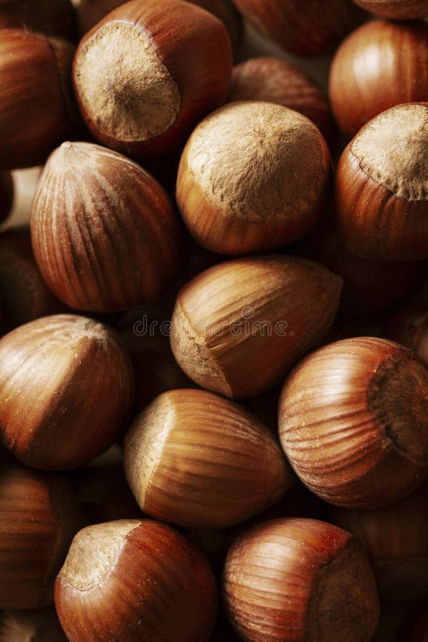 Close up of hazelnuts stock image. Image of tasty, group - 269843123