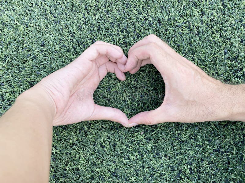 Heart shape by man hand stock photo. Image of natural - 223725692