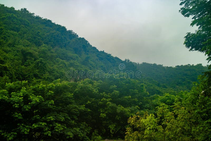 Close Up on the Hill of the Mountain Stock Photo - Image of green ...