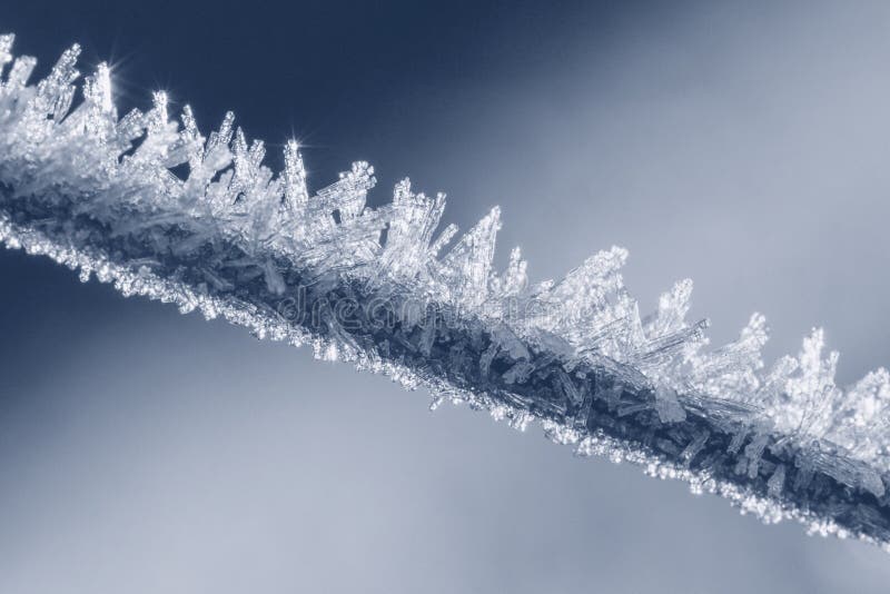 Close Up of Hoar Frost on Blade Stock Image - Image of flora, hoar ...