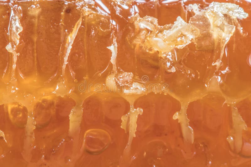 Close Up of Honey Comb Side Stock Photo - Image of abstract, honey ...