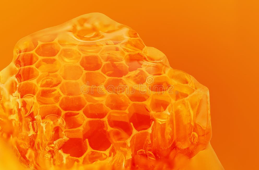 Close Up of Honeycomb of Bees Texture. Hexagonal Honeycombs Filled with ...