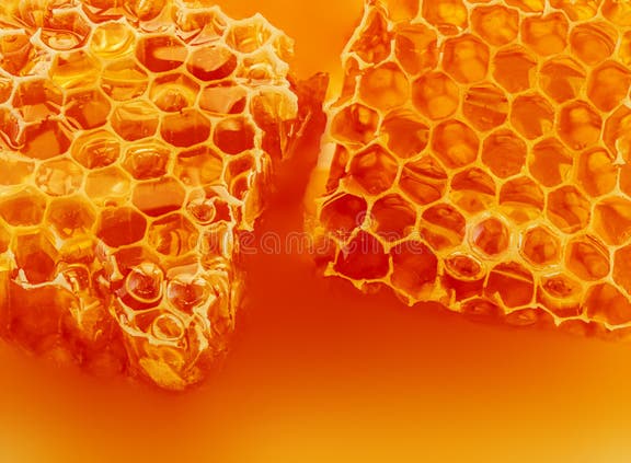 Close Up of Honeycomb of Bees Texture. Hexagonal Honeycombs Filled with ...
