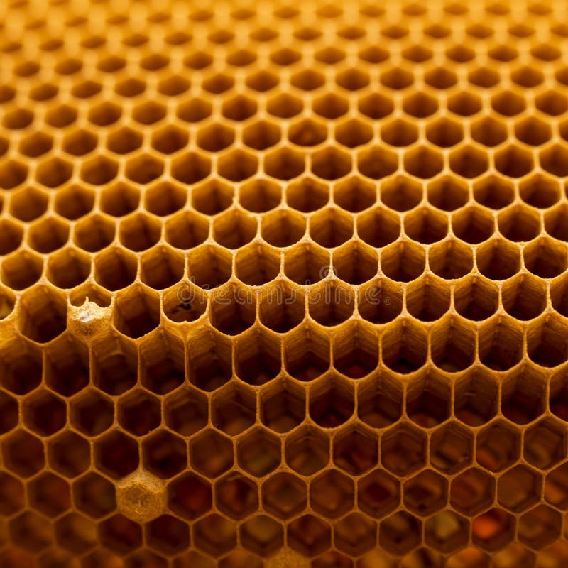 Close-up of a Honeycomb Showing a Network of Hexagonal Cells. the ...