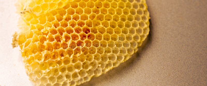 Close-up of a Honeycomb Slice with Honey, Featuring a Detailed View of ...