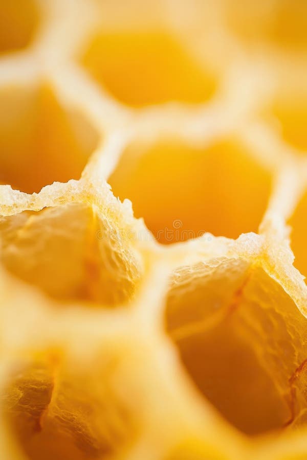 Close-Up of Honeycomb Texture Highlighting Natural Geometric Patterns ...