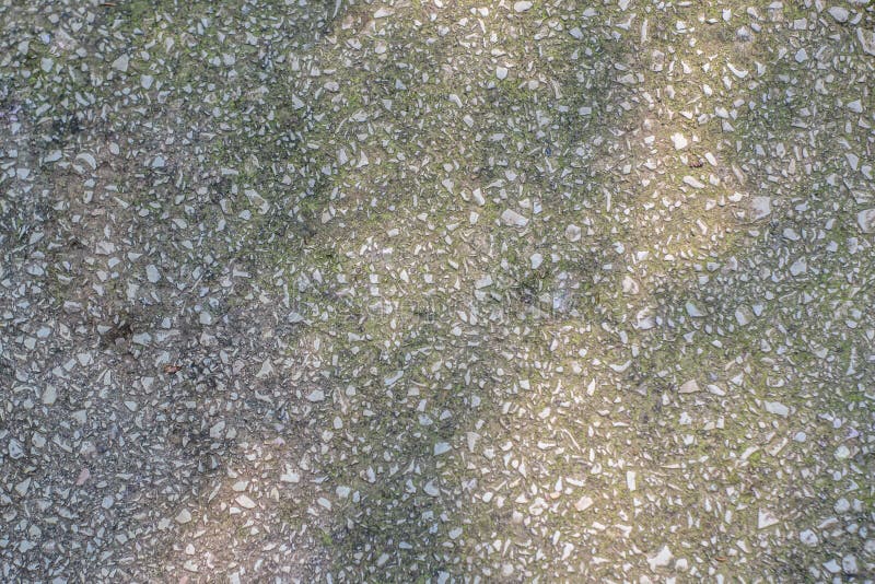 Close-up Horizontal View of New Asphalt Road Stock Photo - Image of ... Close-up Horizontal View of New Asphalt Road Stock Photo - Image of ...
