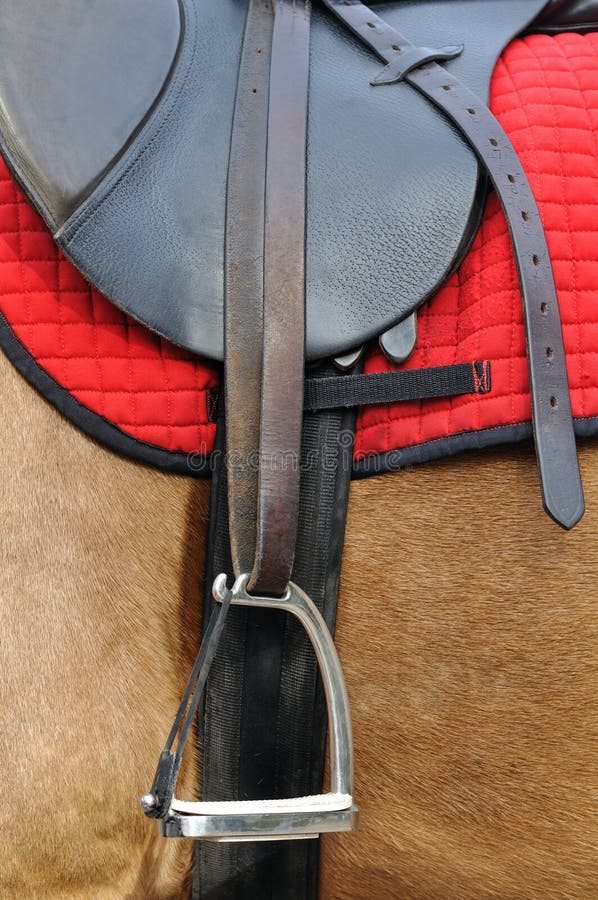 Close Up of a Horse Harness Stock Photo - Image of saddlecloth, housing ...