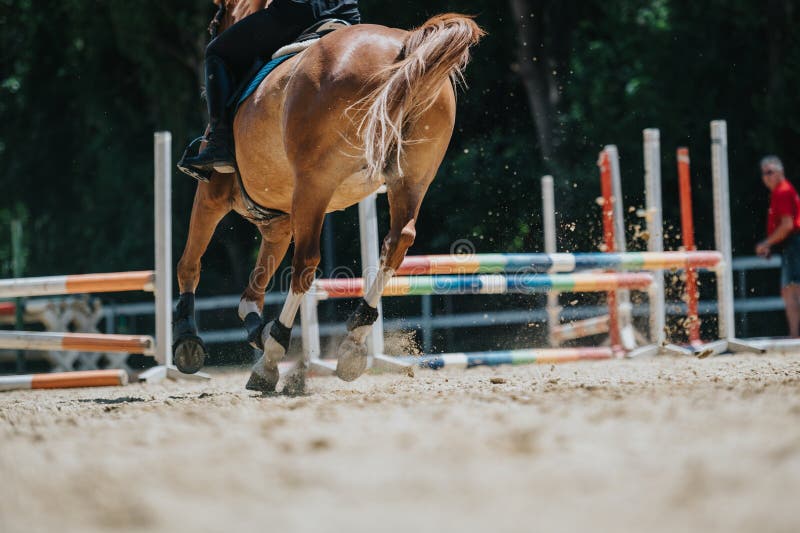 Close-up of a Horse and Rider in an Exciting Equestrian Show Jumping ...