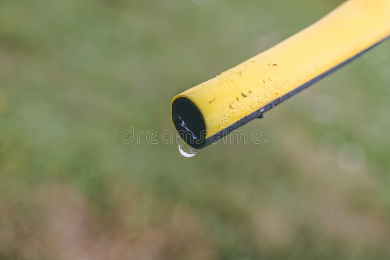 Close Up of a Hose Pipe with a Drop of Water Dripping and Grass on the ...