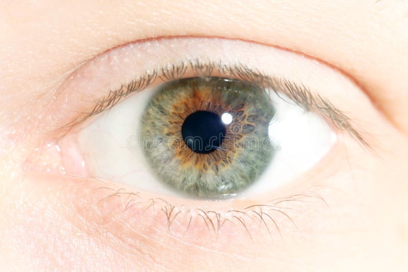 Closeup of a human eye stock photo. Image of pupil, vision - 113689644