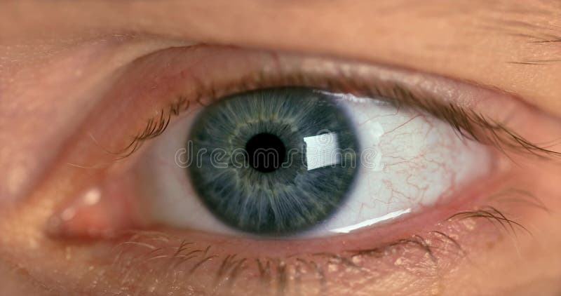 Close-up of the Human Eye. Pupil Cornea Iris Eyeball Eyelashes Stock ...