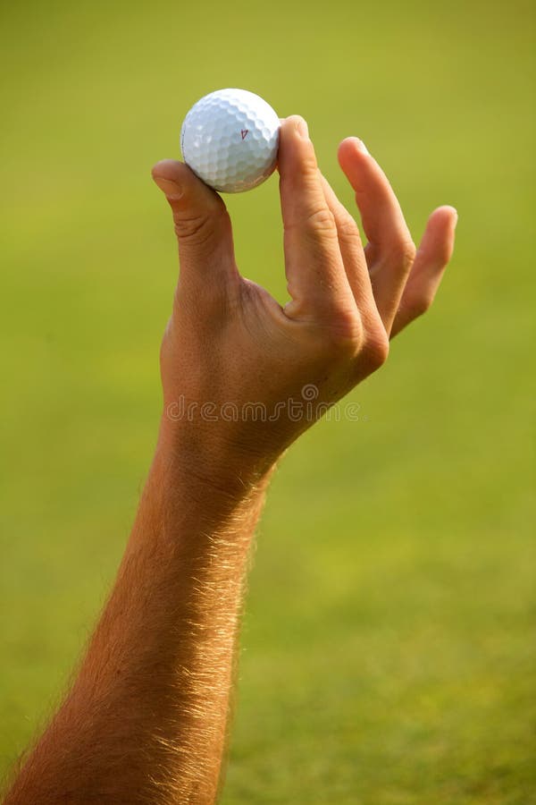 Close-up of Human Hand Holding Golf Ball Stock Photo - Image of hand ...